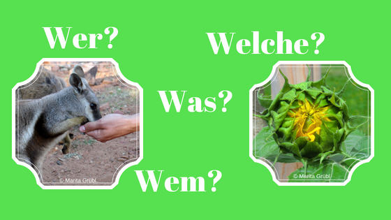 Was ist ein Fragefürwort (Interrogativpronomen)? Einfach erklärt!